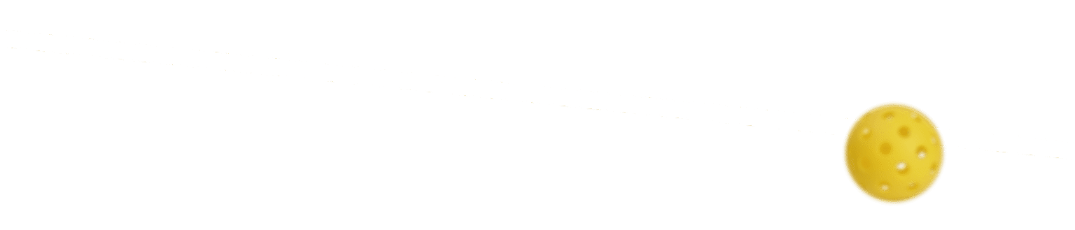 Grand VIP Pickleball Court In Shah Alam | Grand Rally